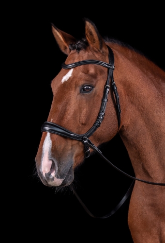 Schockemohle Ogłowie anatomiczne 3w1 EQUITUS THETA HORSETOWN Sklep ...